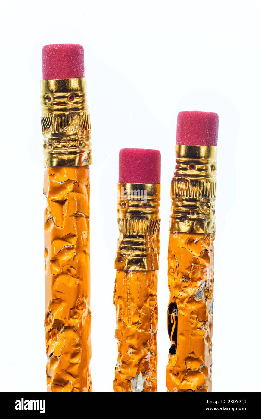 Vertical close-up shot of the eraser end of three chewed pencils on a ...