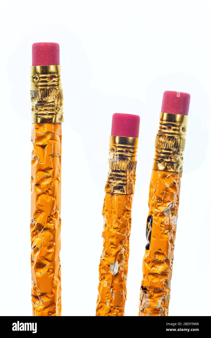 Vertical close-up shot of the eraser end of three chewed pencils on a ...