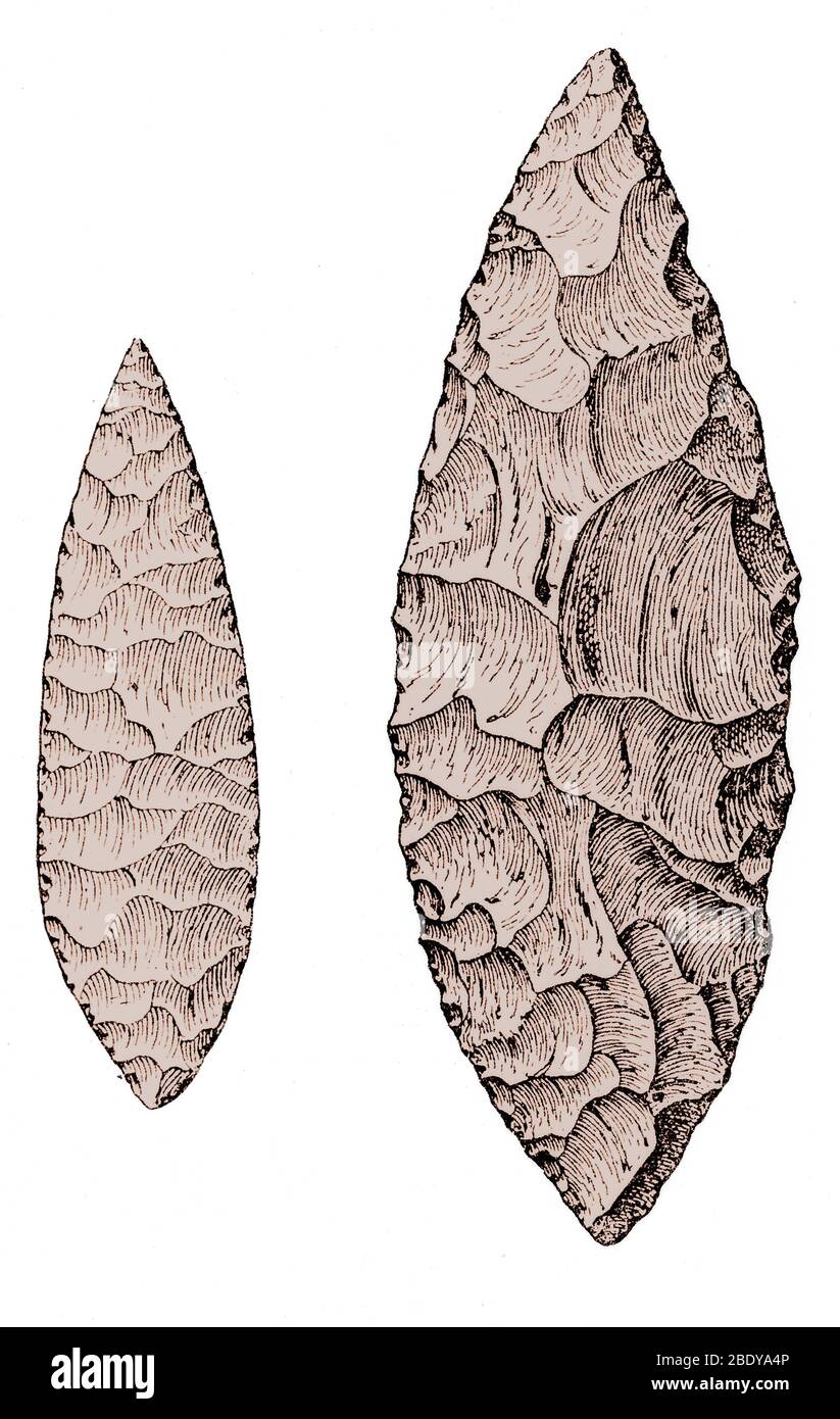 Leaf-Shaped Flint Implements, Upper Paleolithic Stock Photo - Alamy