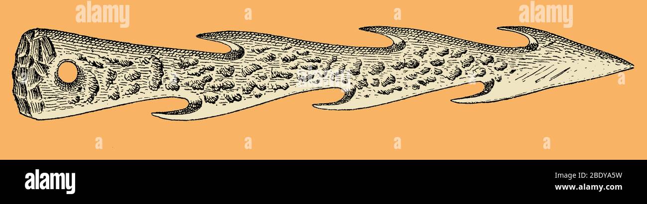 Bronze Age Barbed Point (Harpoon), Switzerland Stock Photo - Alamy