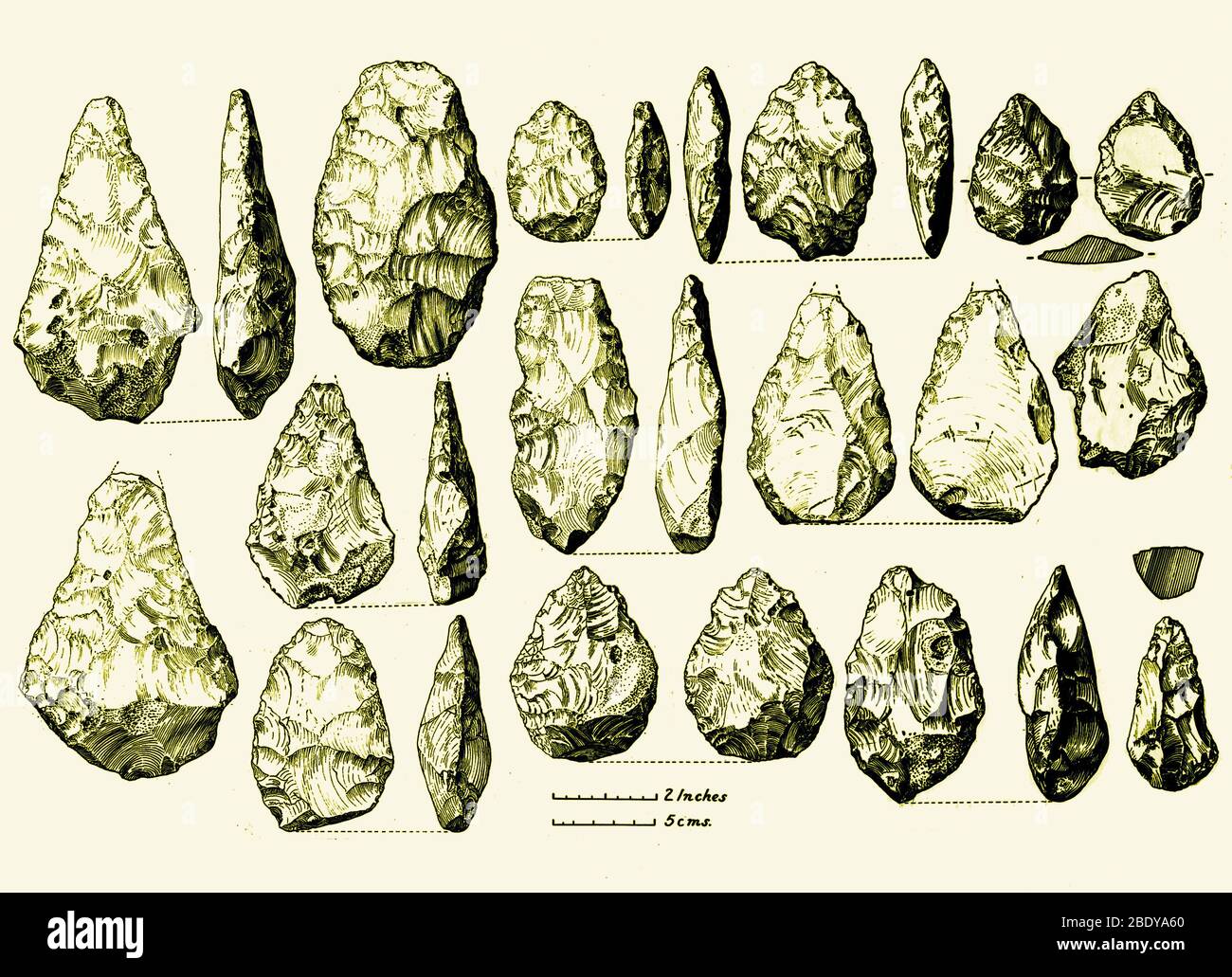 Lower paleolithic hi-res stock photography and images - Alamy