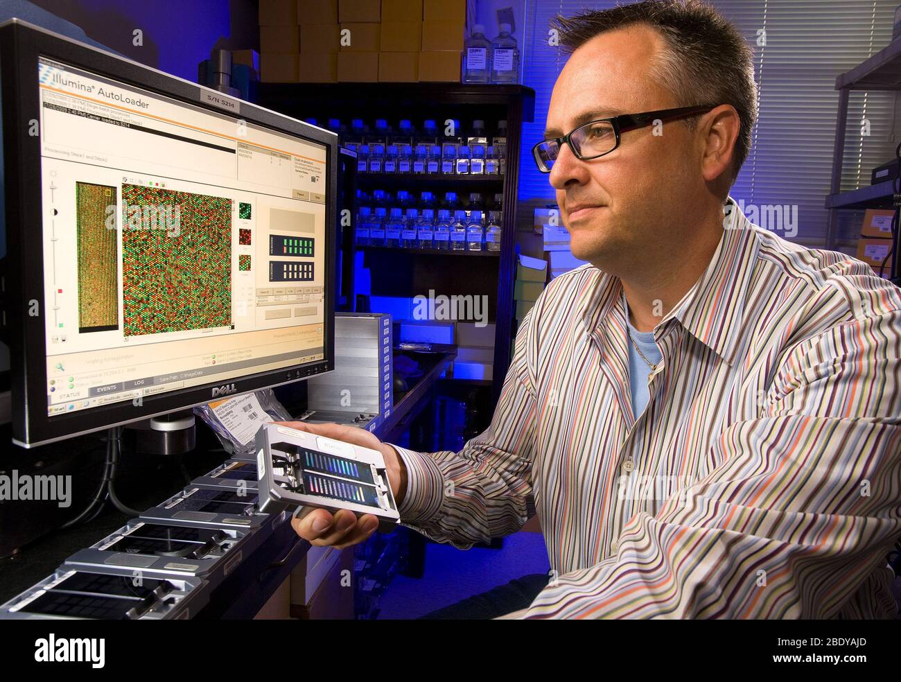 Cattle genome analysis hi-res stock photography and images - Alamy