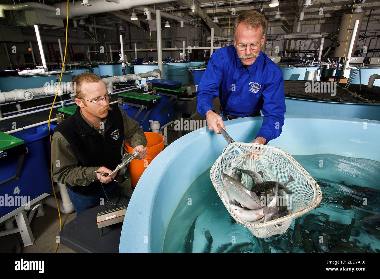 Scientist study fish hi-res stock photography and images - Alamy
