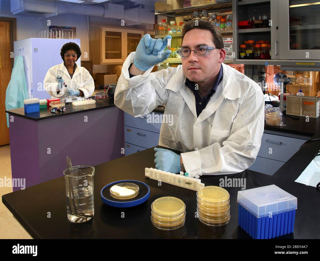 Food Safety Research Stock Photo - Alamy