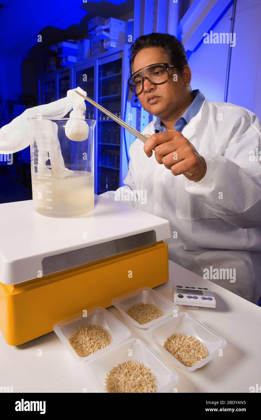 Cooking Time Research Stock Photo - Alamy