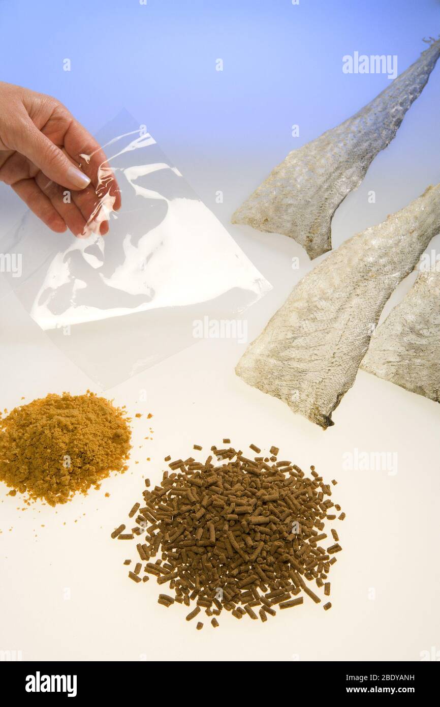 Animal skin products hi-res stock photography and images - Alamy