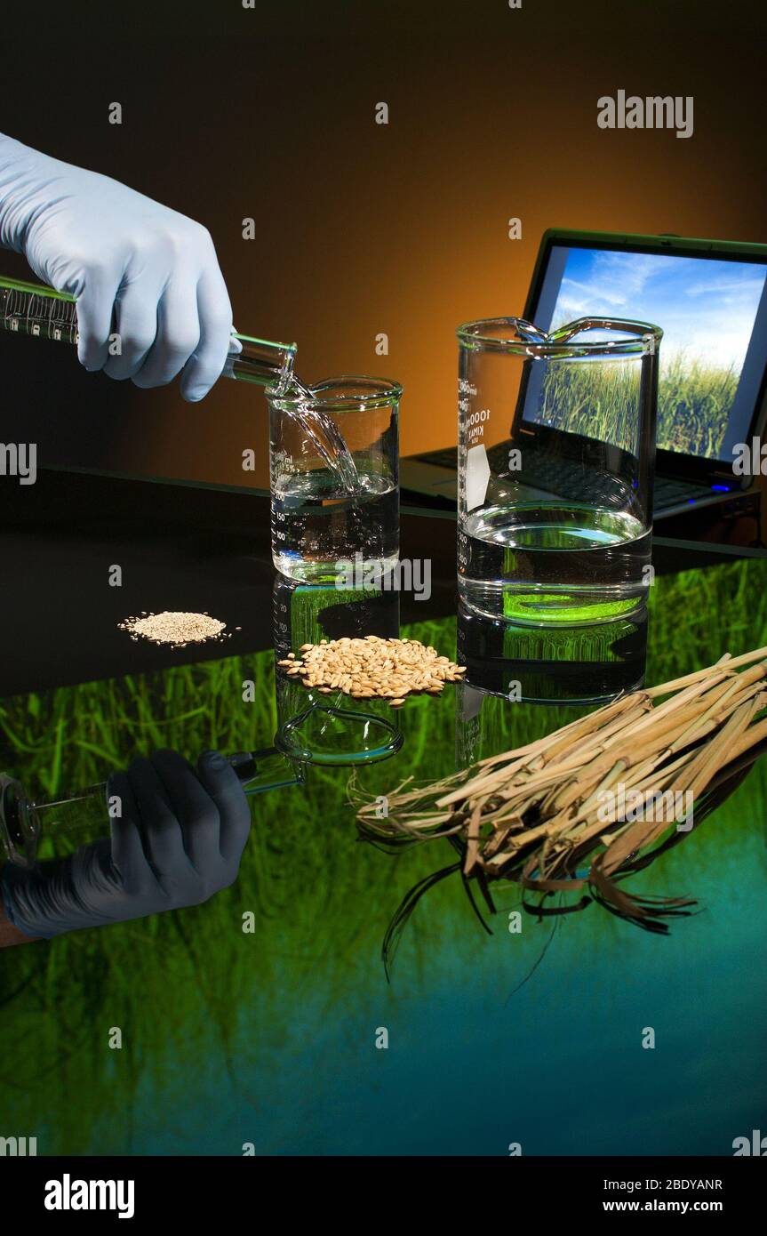 Ethanol bio hi-res stock photography and images - Alamy