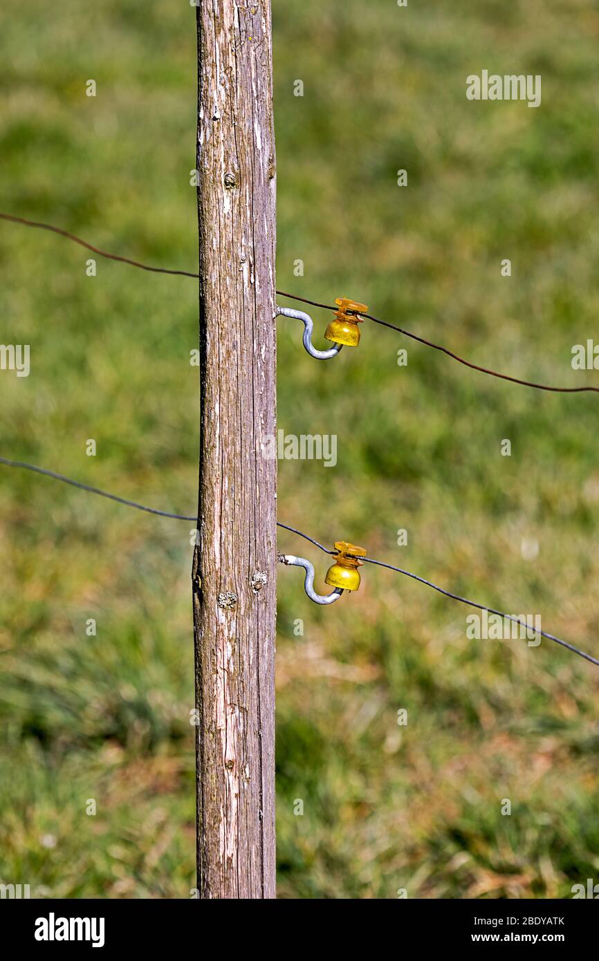 close up of a electrical wire fence around a pasture Stock Photo - Alamy