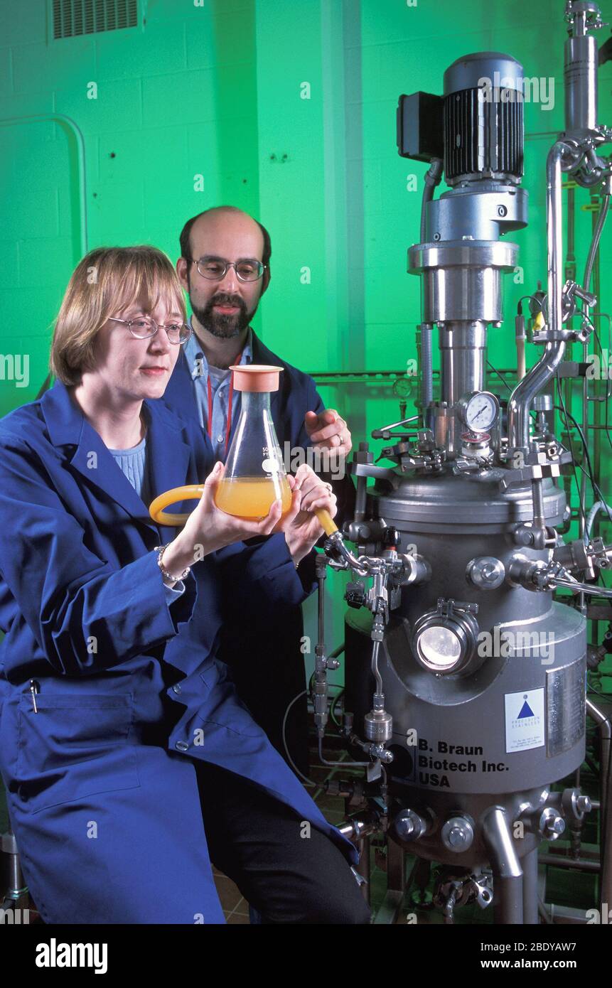 Bioreactor and fermentation hi-res stock photography and images - Alamy