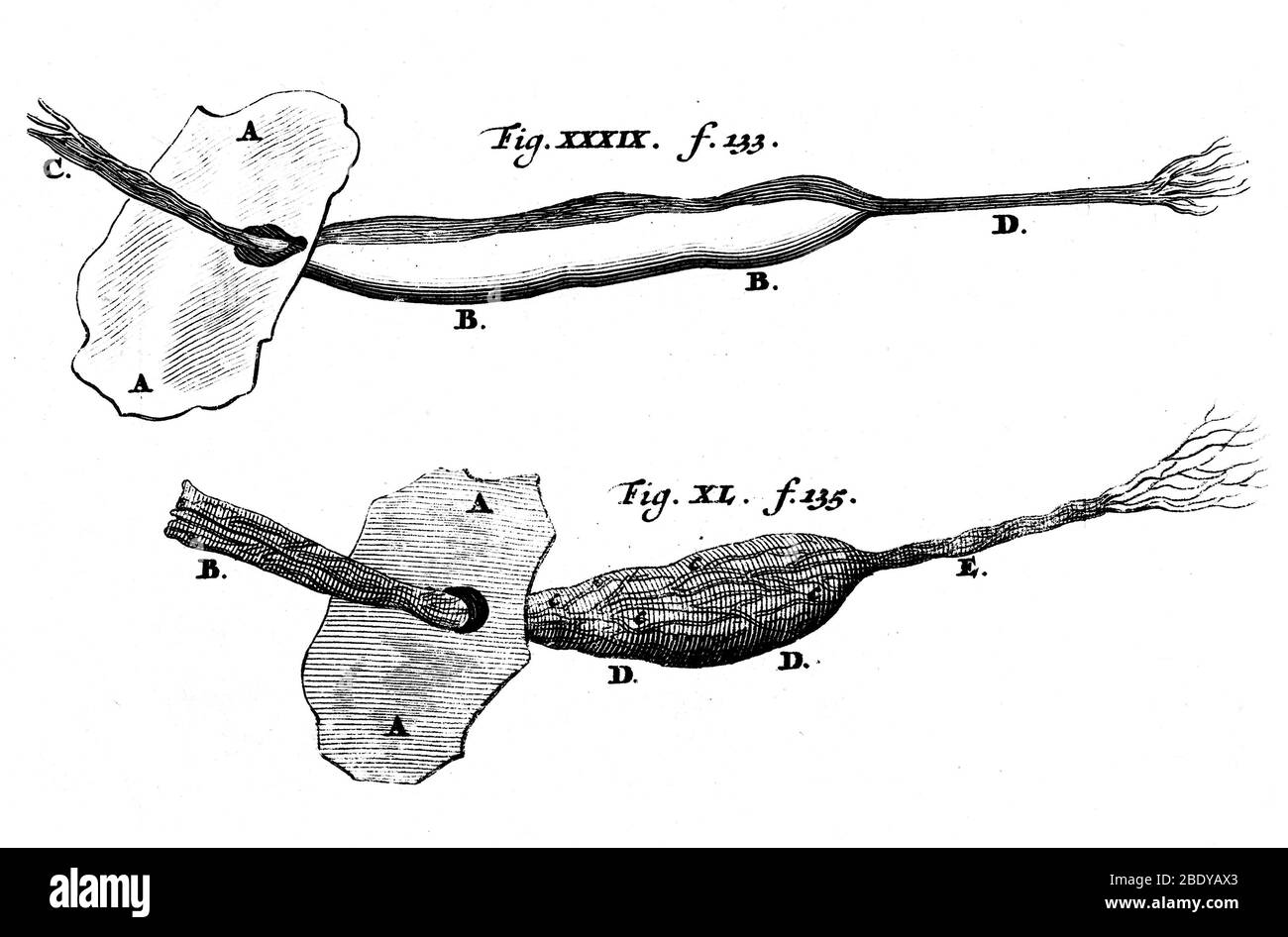 Human art Black and White Stock Photos & Images - Alamy