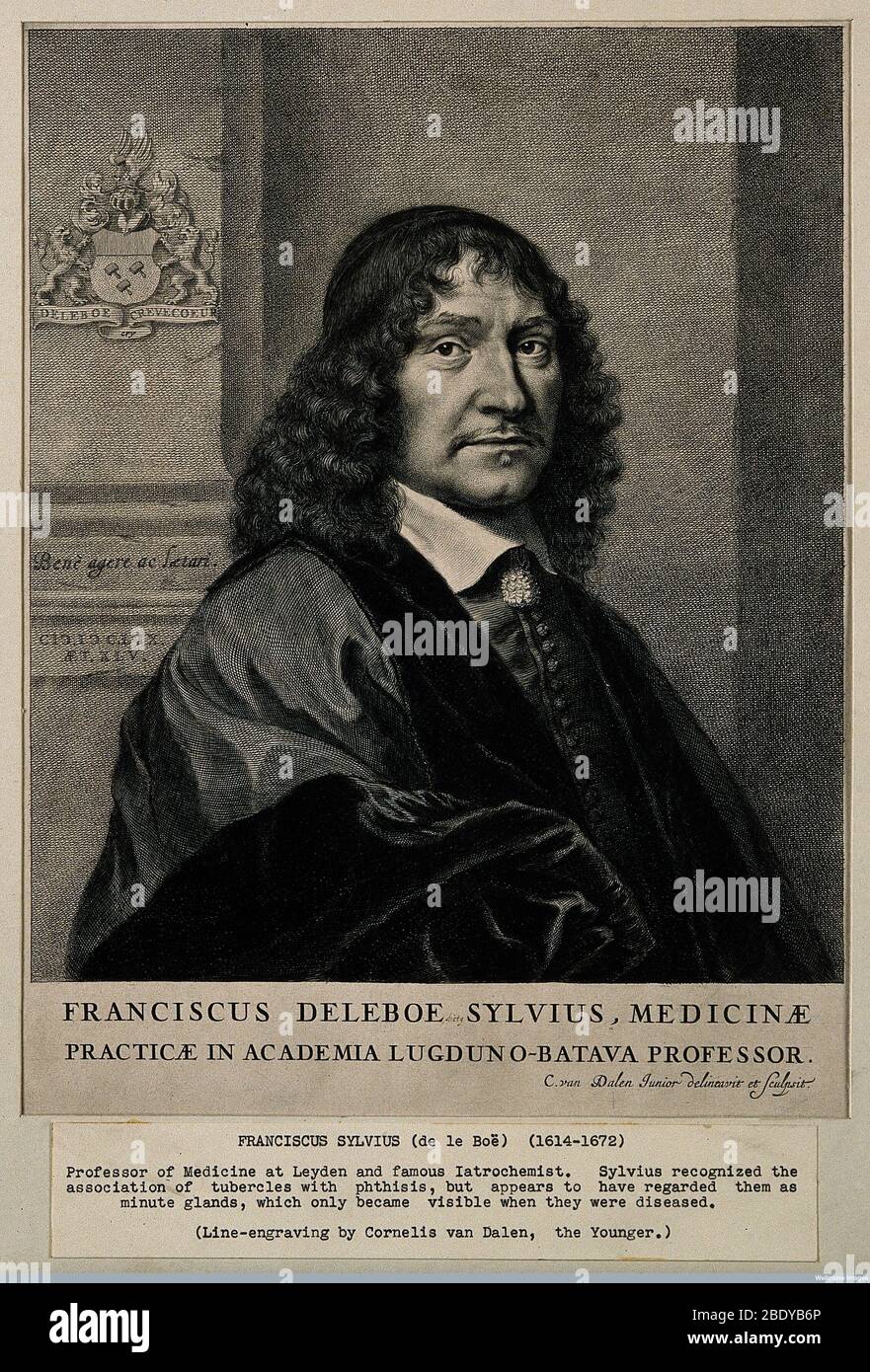 17th century dutch portrait hi-res stock photography and images - Alamy