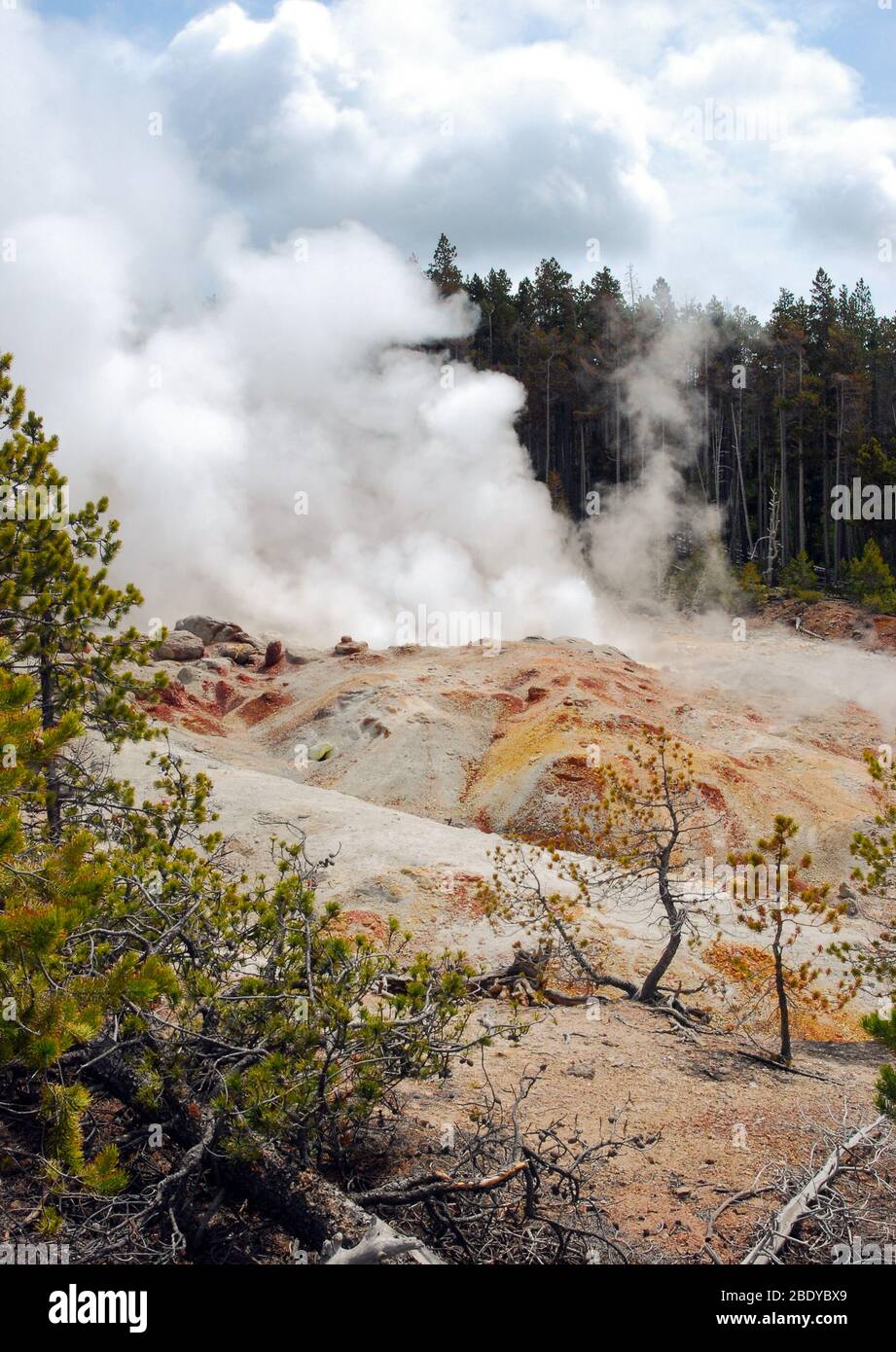 Steaming hot springs with colorful mineral deposits and thermophilic ...