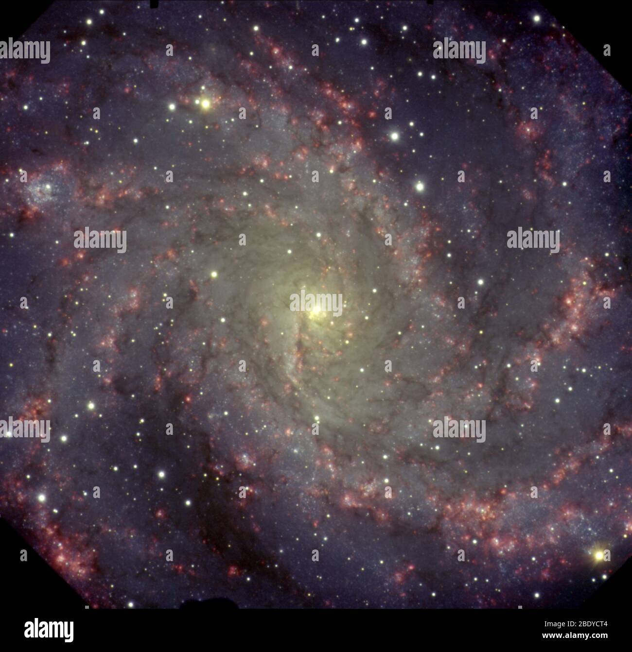 Fireworks Galaxy, NGC 6946, Caldwell 12 Stock Photo - Alamy