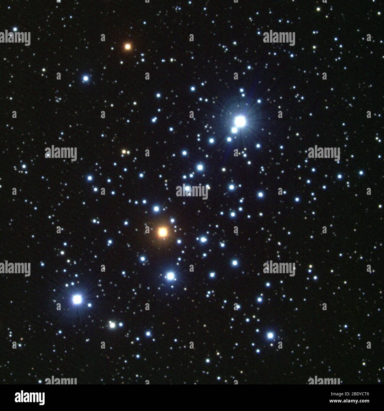 Star Cluster, M103, NGC 581 Stock Photo - Alamy