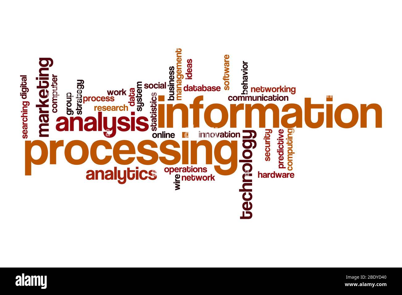 Information processing word cloud concept on white background Stock ...