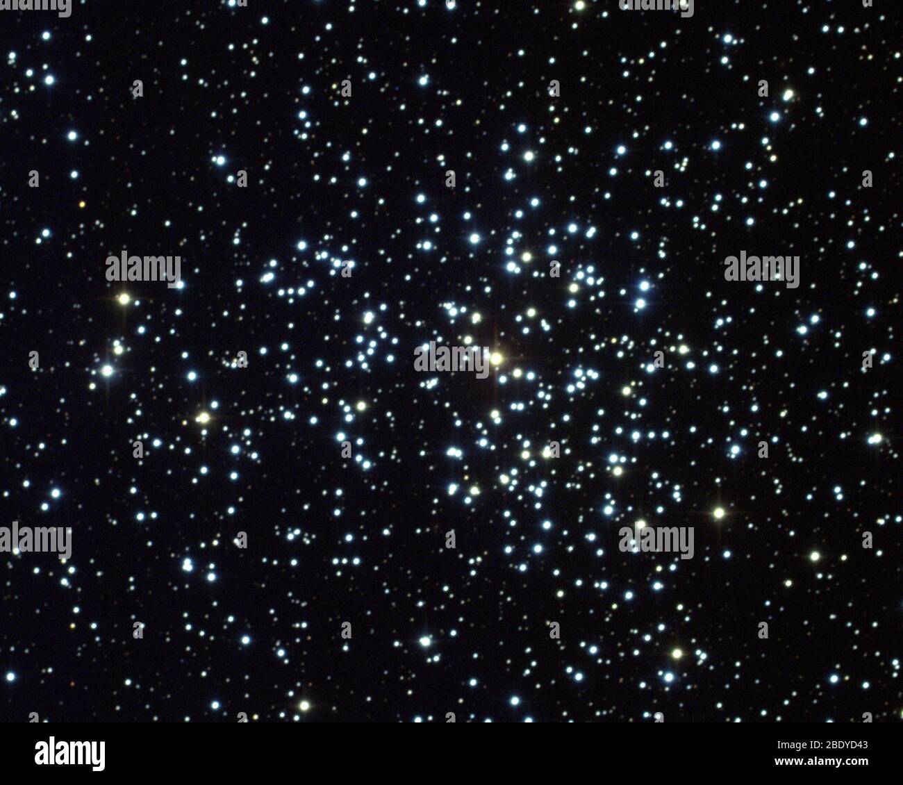Open Star Cluster, M37, NGC 2099 Stock Photo - Alamy