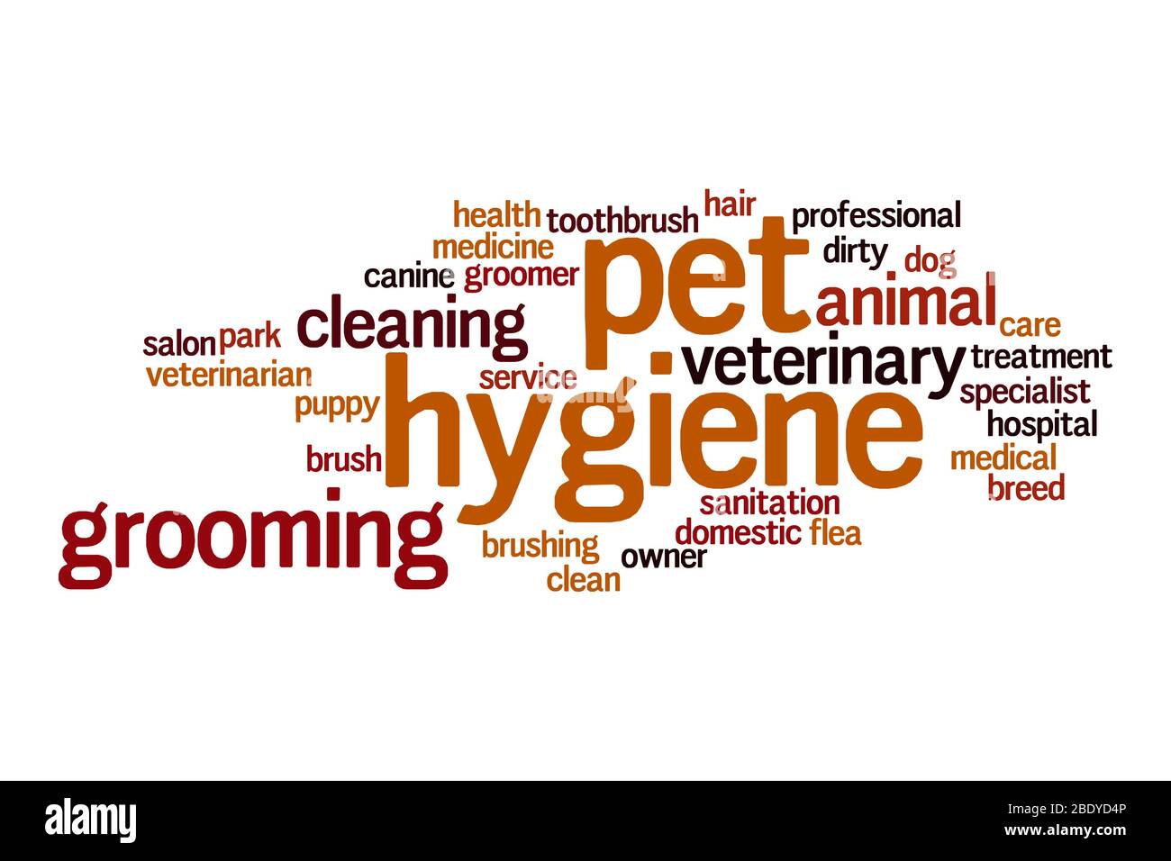 Pet hygiene word cloud concept on white background Stock Photo - Alamy