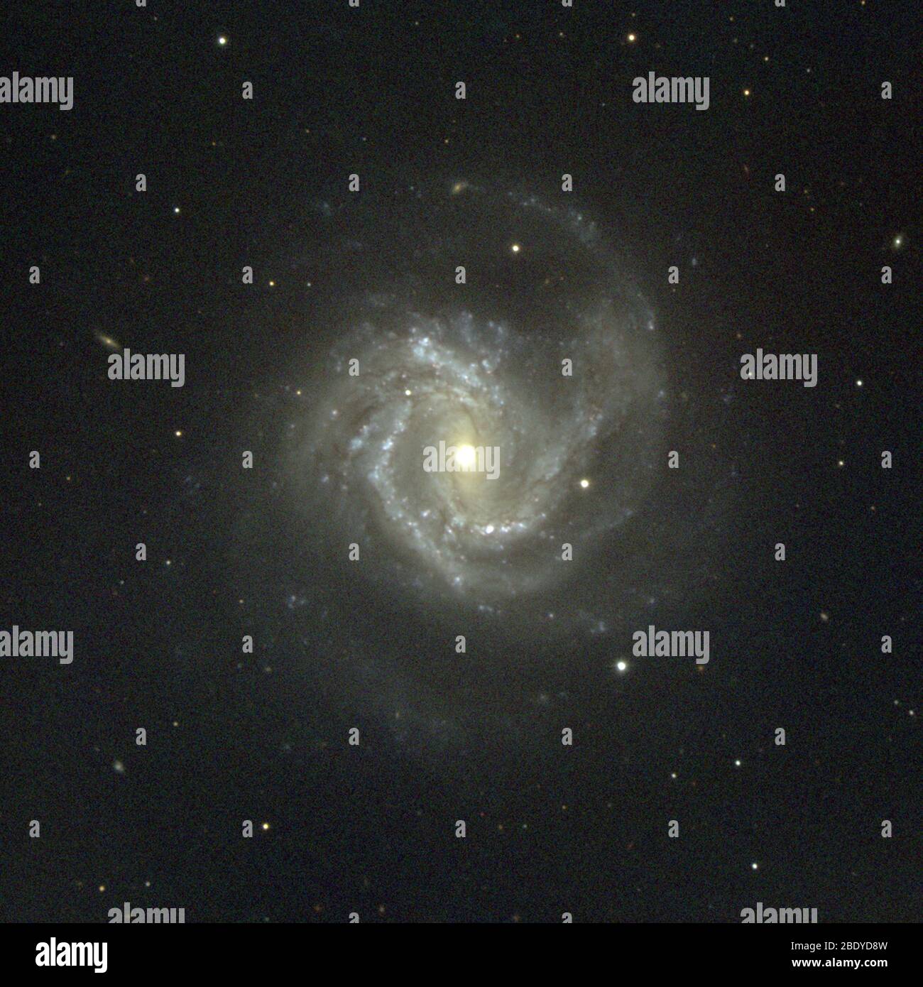 Barred Spiral Galaxy, M61, NGC 4303 Stock Photo - Alamy