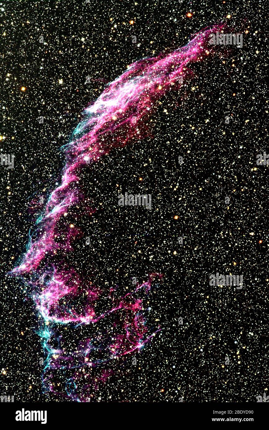 Eastern Veil, Caldwell 33 in Cygnus Loop Stock Photo - Alamy
