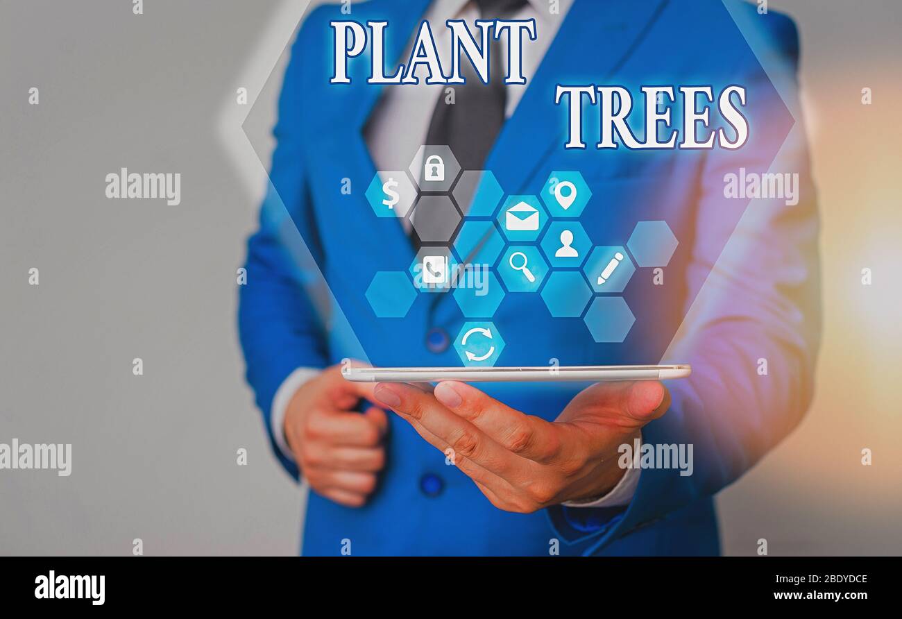 Handwriting text writing Plant Trees. Conceptual photo process of ...