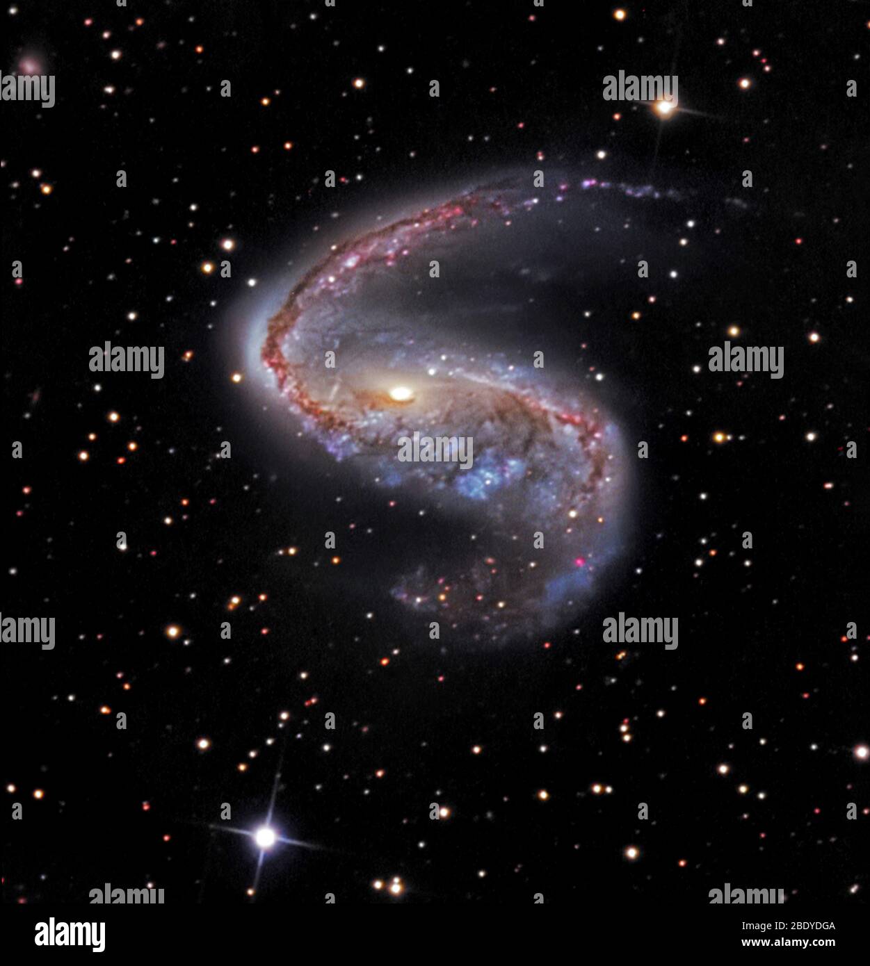 Meathook hi-res stock photography and images - Alamy