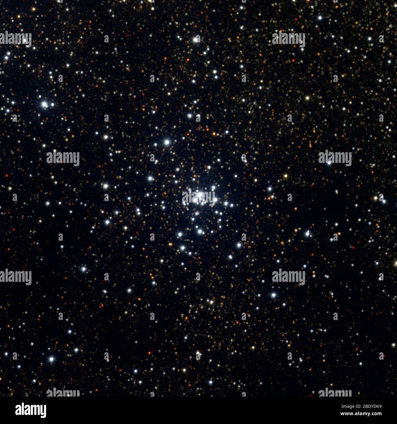Open Star Cluster, M21, NGC 6531 Stock Photo - Alamy