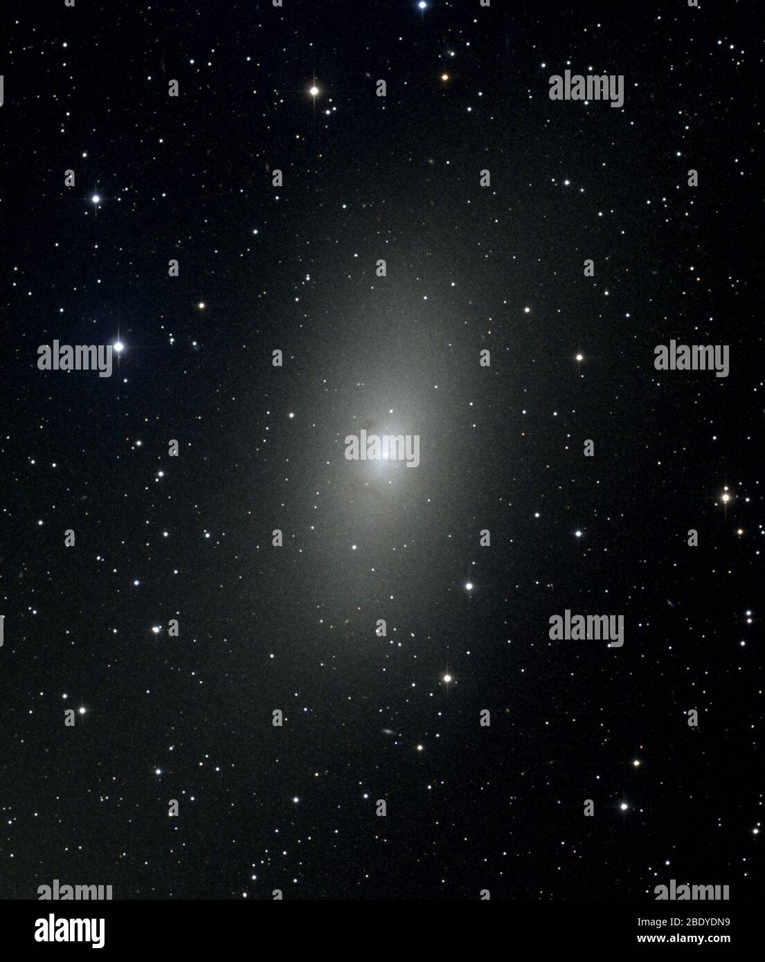 Dwarf Elliptical Galaxy, M110, NGC 205 Stock Photo - Alamy