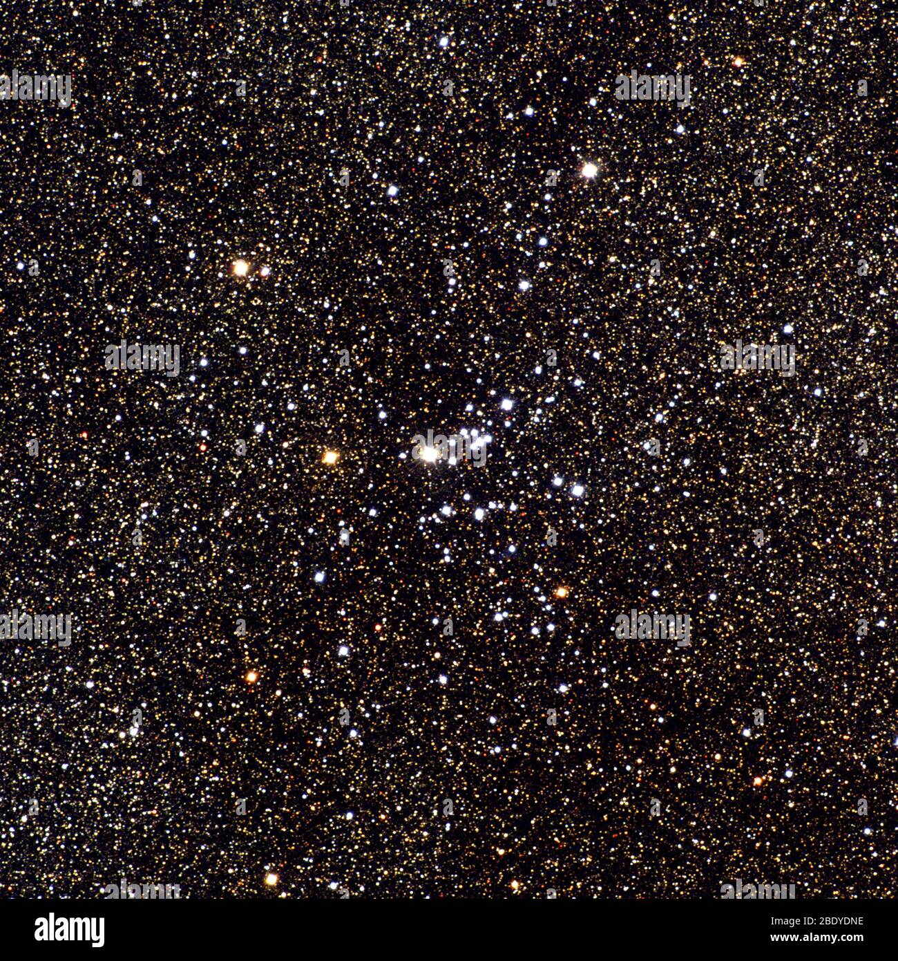 Open Star Cluster, M25, IC 4725 Stock Photo - Alamy