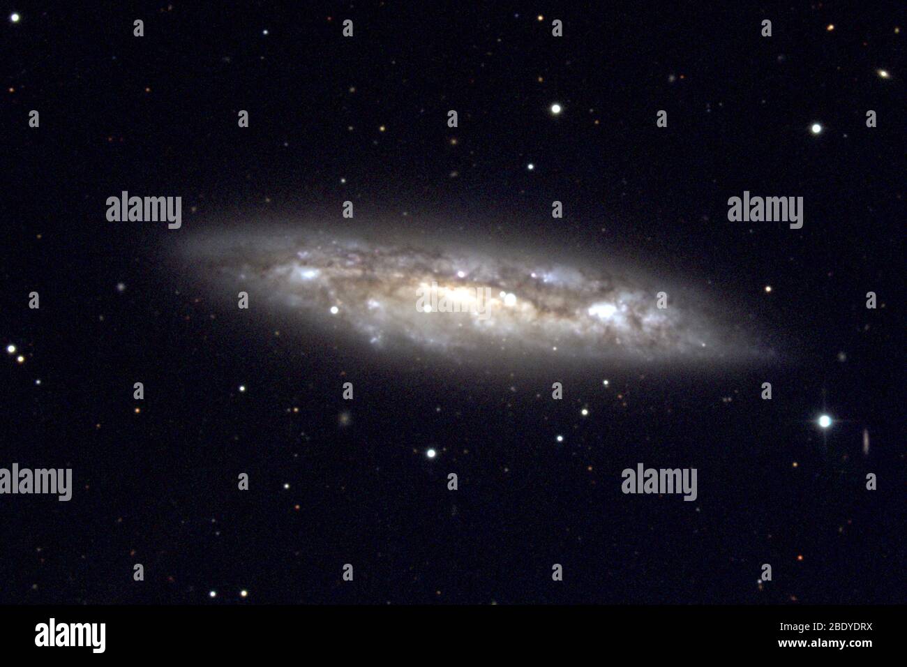 Spiral Galaxy, M108, NGC 3556 Stock Photo - Alamy