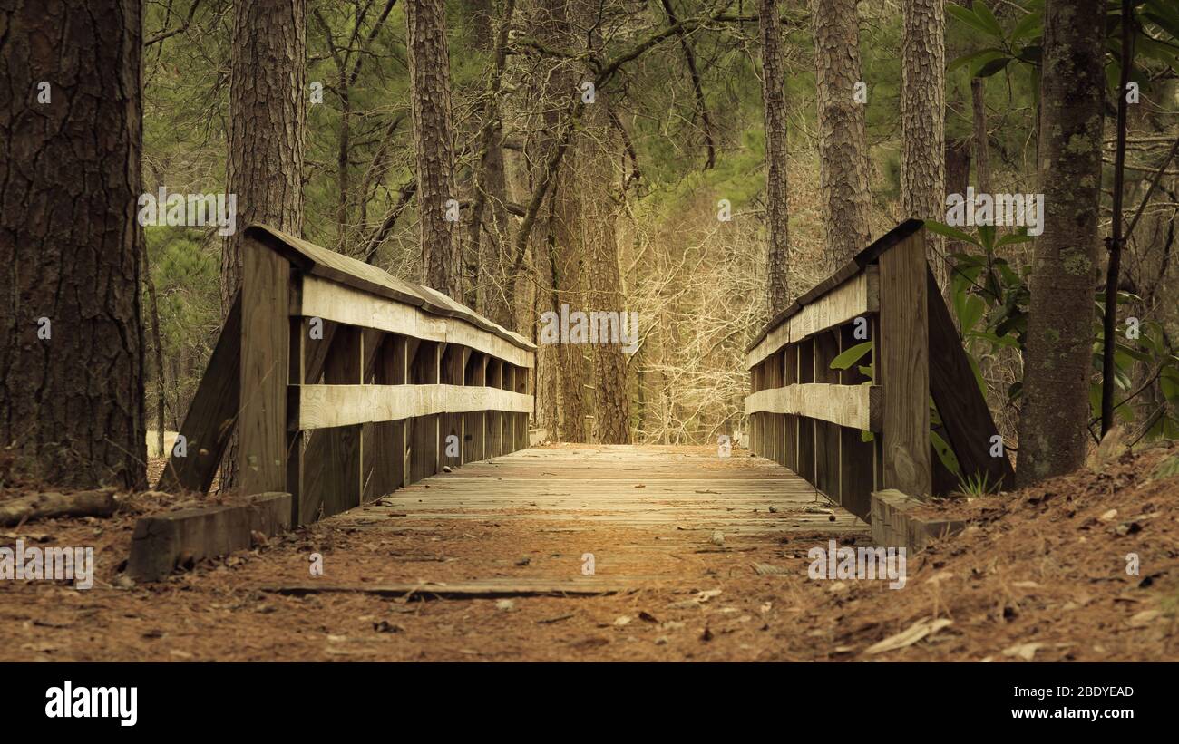 Bridge along a pathway hi-res stock photography and images - Alamy