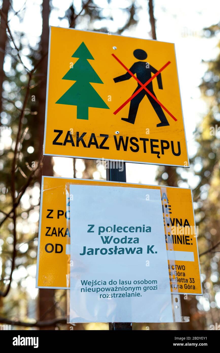 Polish state forests hi-res stock photography and images - Alamy