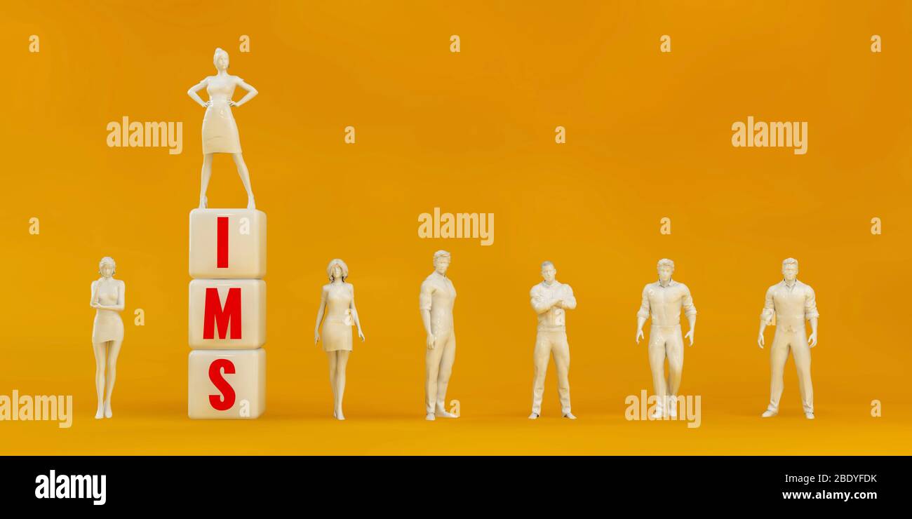 IMS Information Management System Presentation Background in Orange and ...