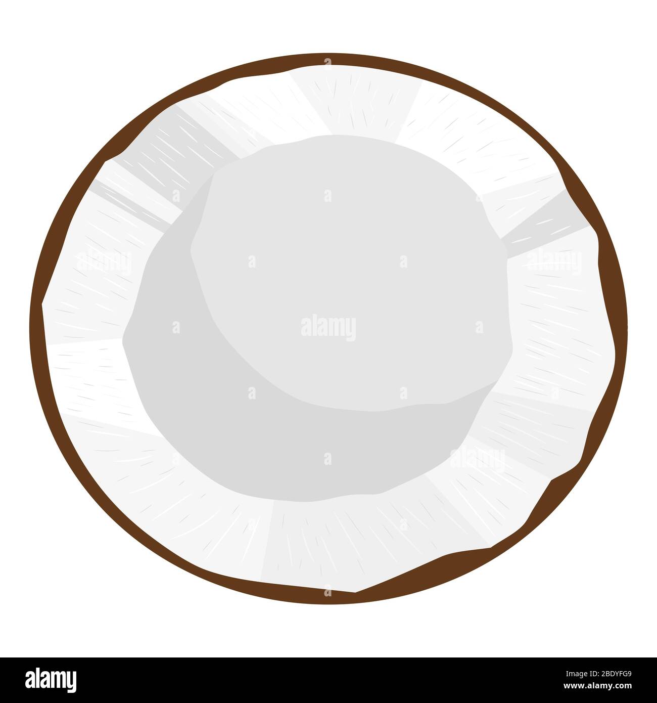 Cartoon detailed brown exotic half coconut isolated on white background ...