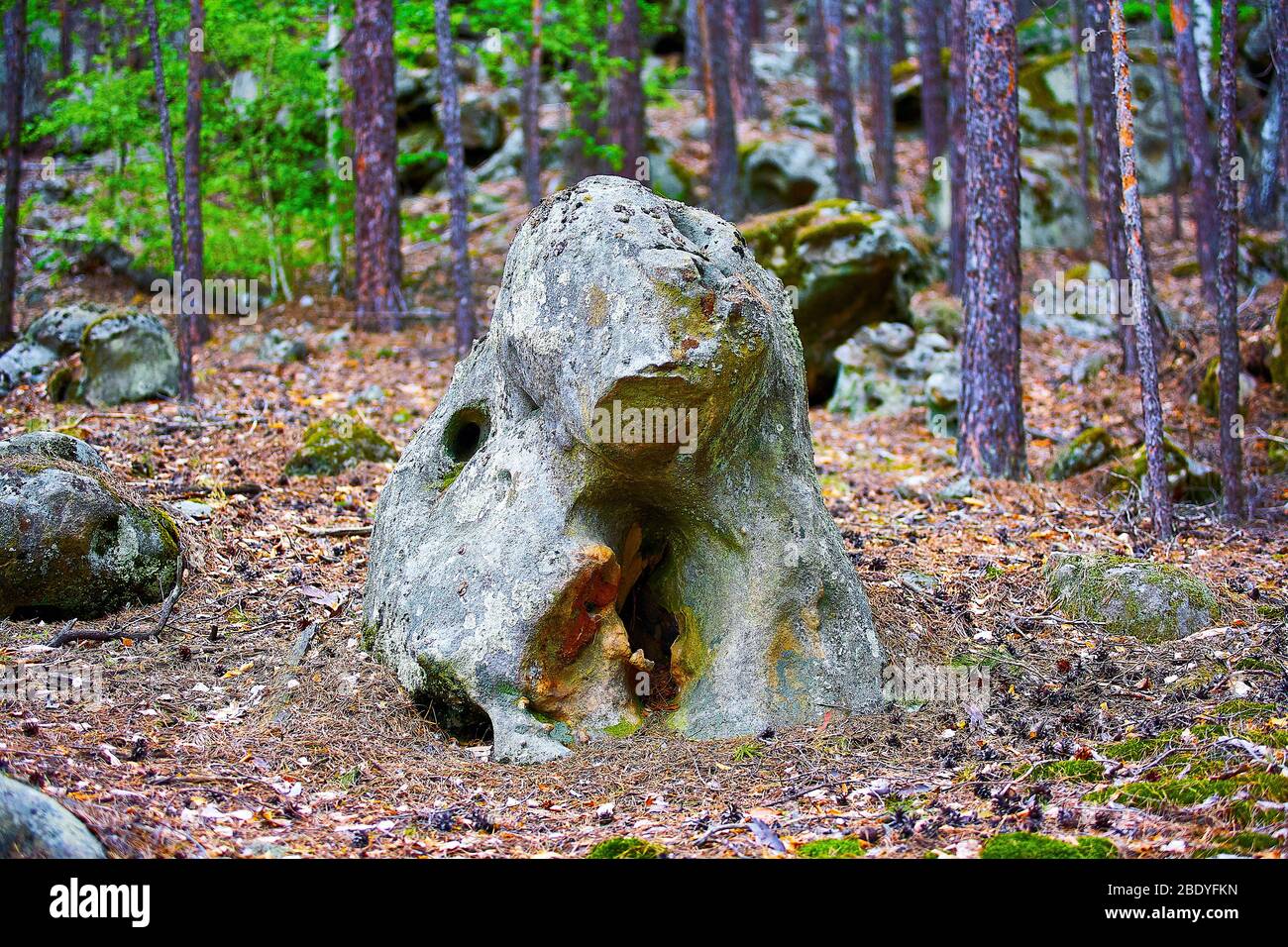 Georgian national forest hi-res stock photography and images - Alamy