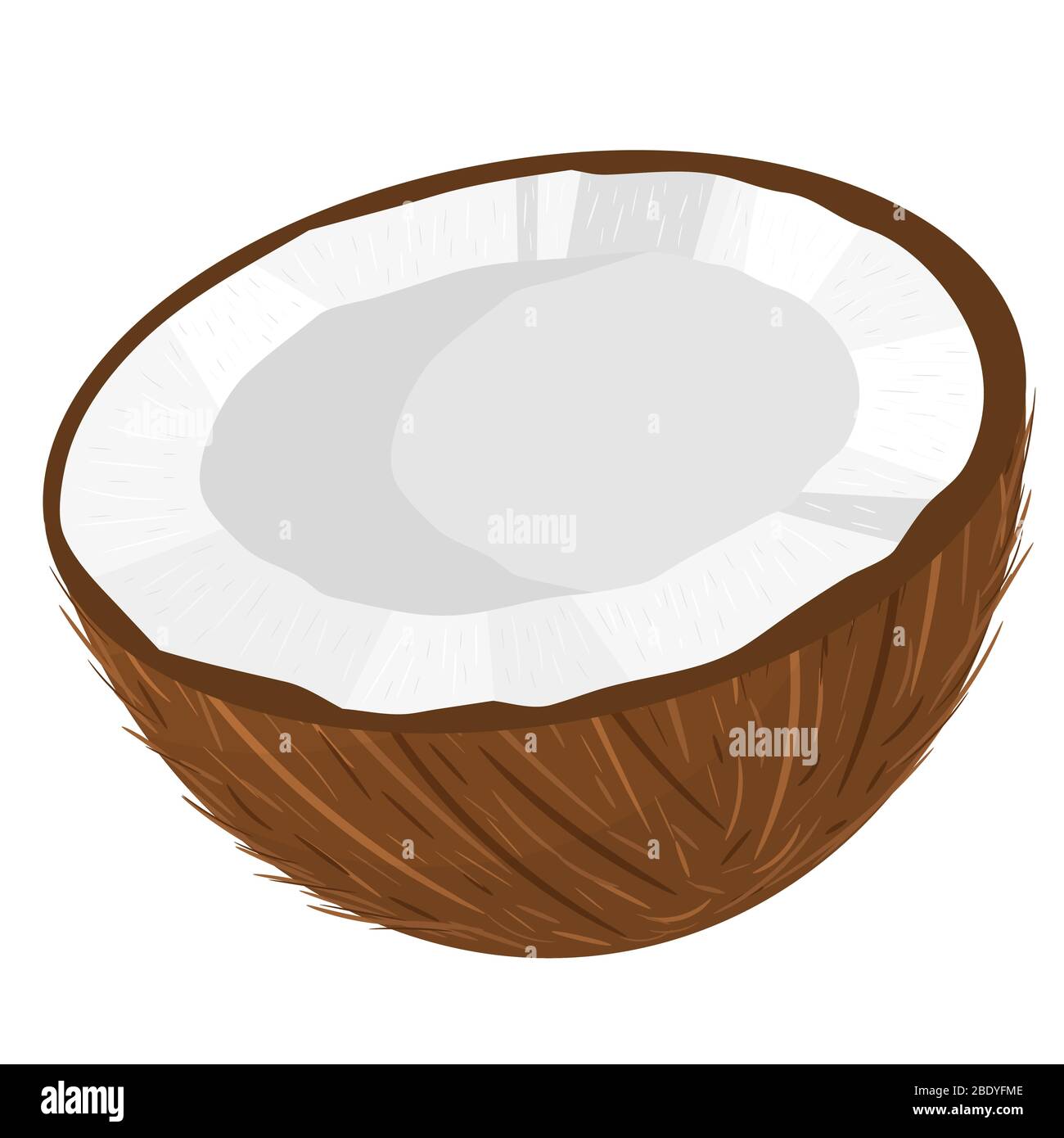 Cartoon detailed brown exotic half coconut isolated on white background ...
