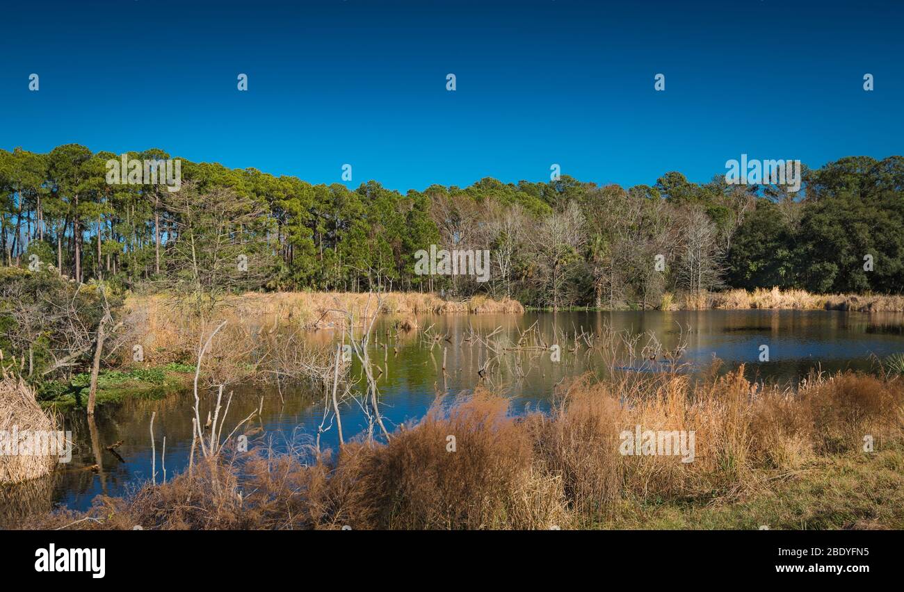 Beautiful winter scenery of Georgia Stock Photo - Alamy