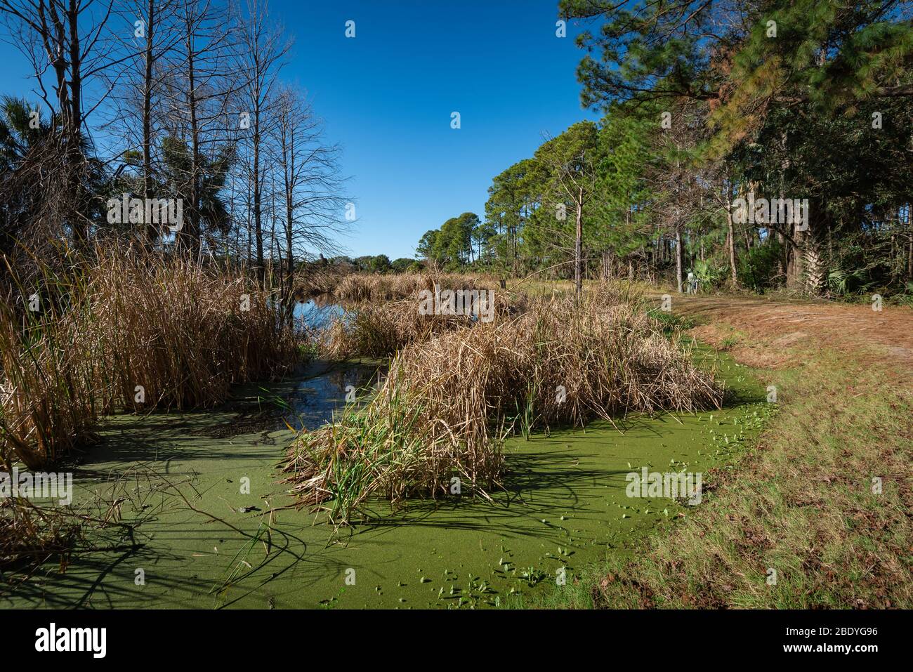 Beautiful winter scenery of Georgia Stock Photo - Alamy