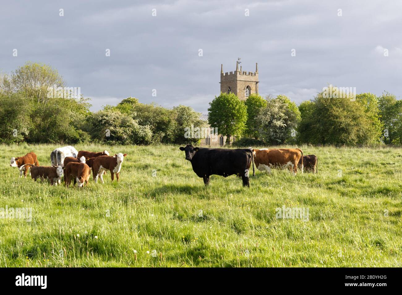 St John The Baptists Church High Resolution Stock Photography and ...