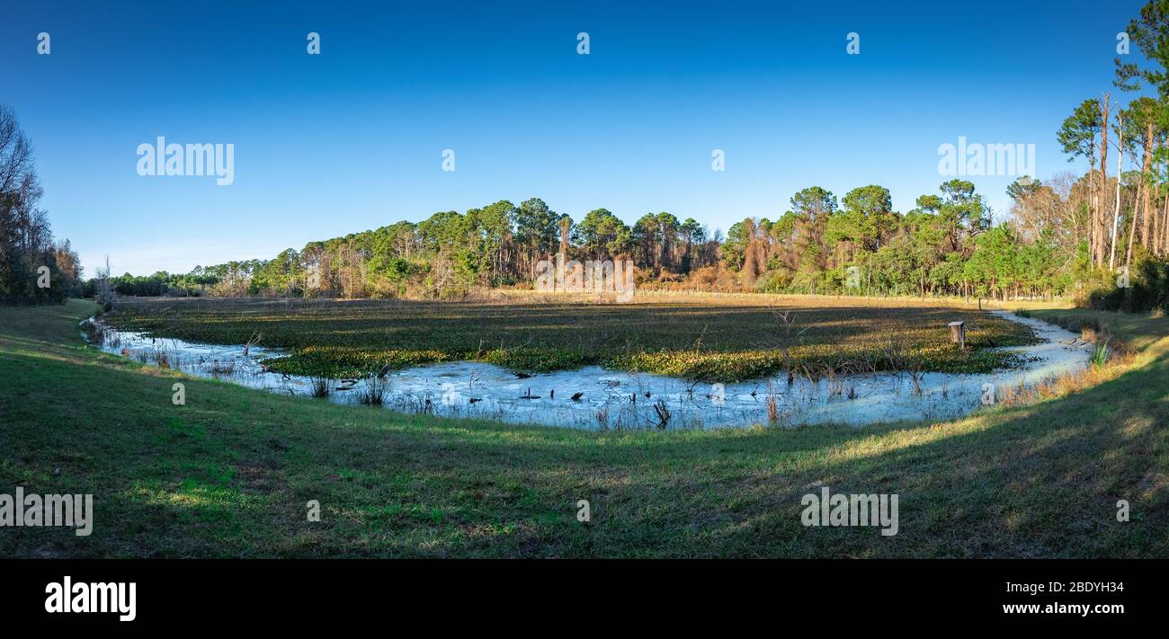 Beautiful winter scenery of Georgia Stock Photo - Alamy