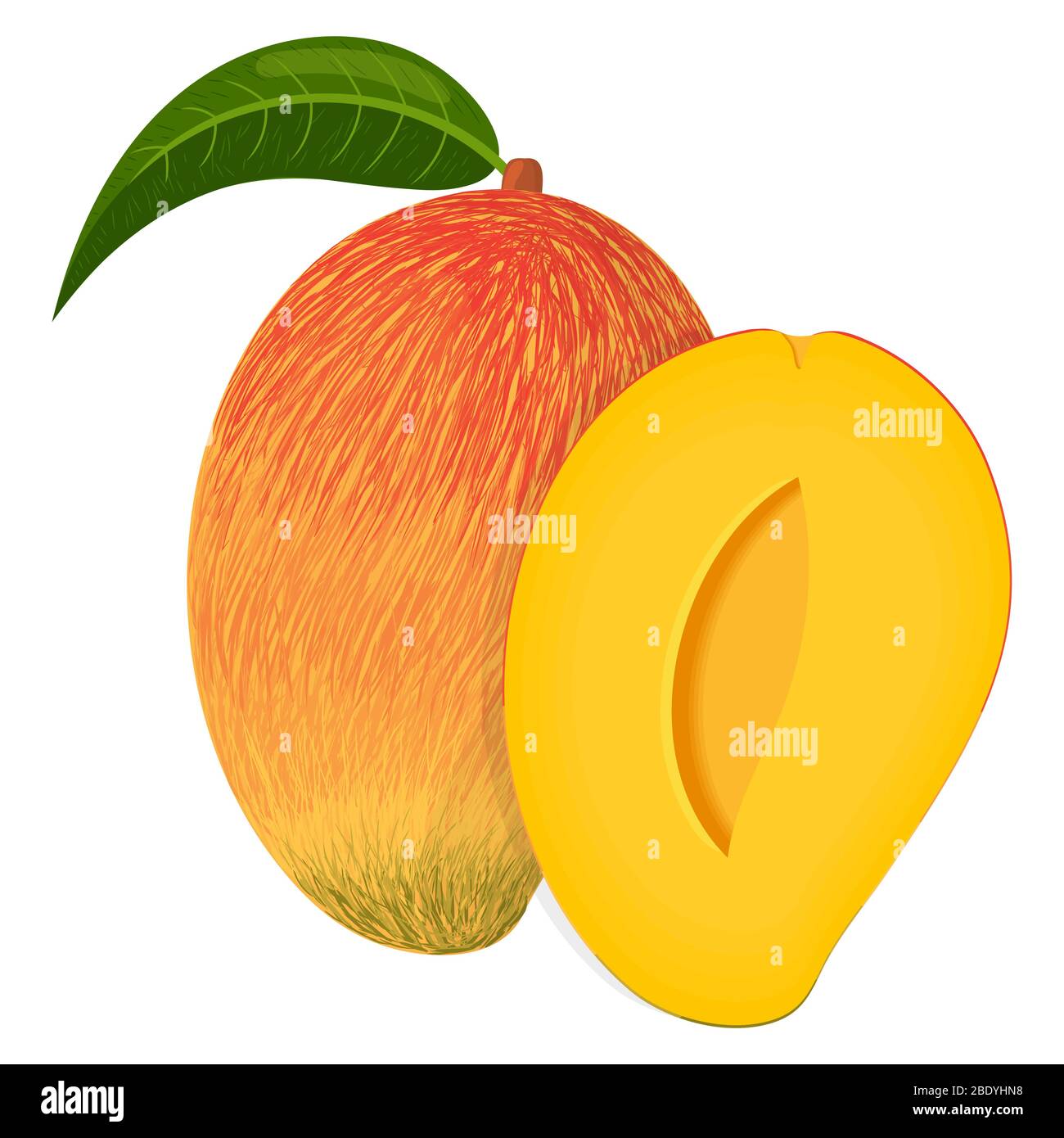 Fresh exotic whole and half mango isolated on white background. Summer ...