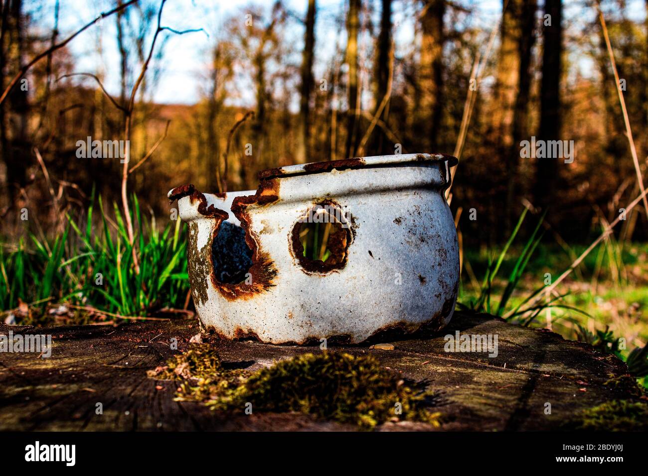 Der rostige Topf im Wald Stock Photo - Alamy