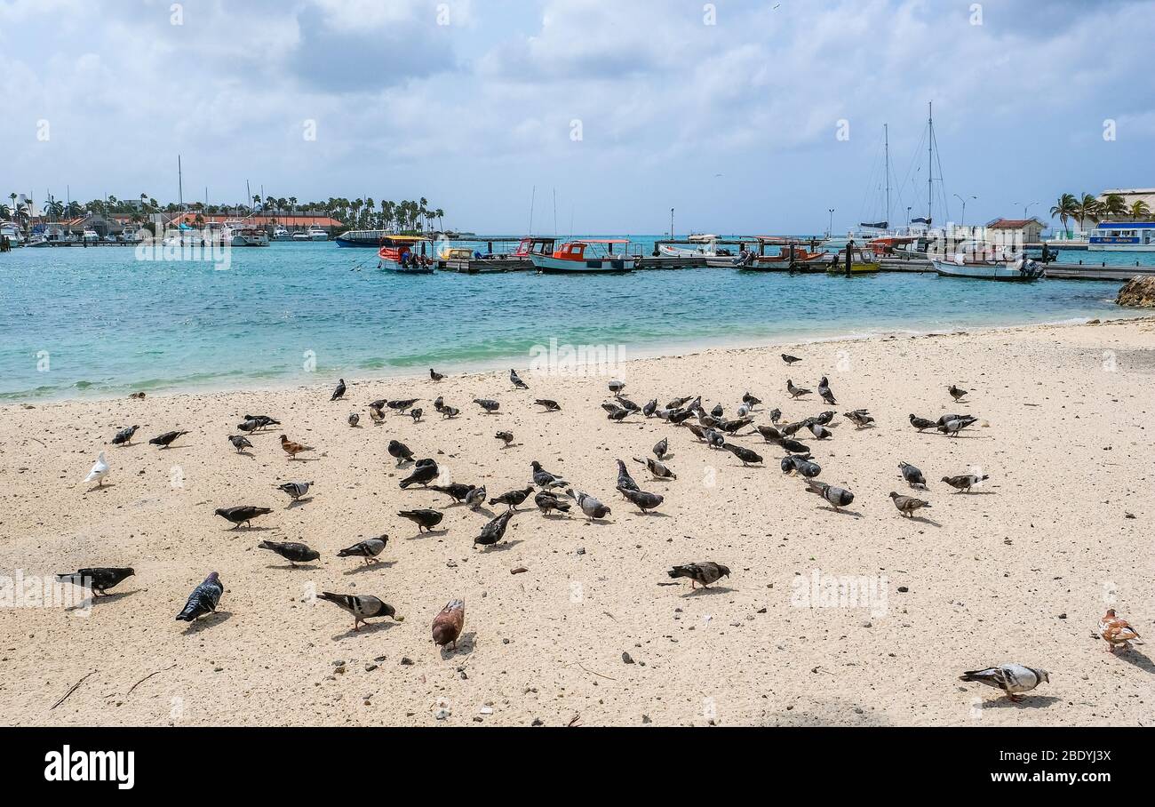 Aruba Island, Oranjestad, Blue Seas, Caribbean Cruise Stock Photo - Alamy