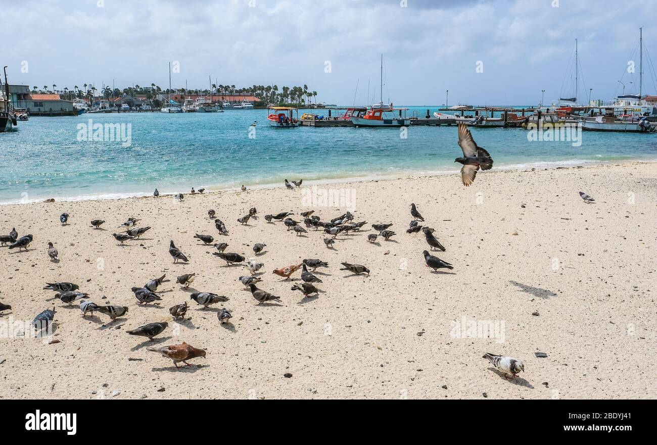 Aruba Island, Oranjestad, Blue Seas, Caribbean Cruise Stock Photo - Alamy