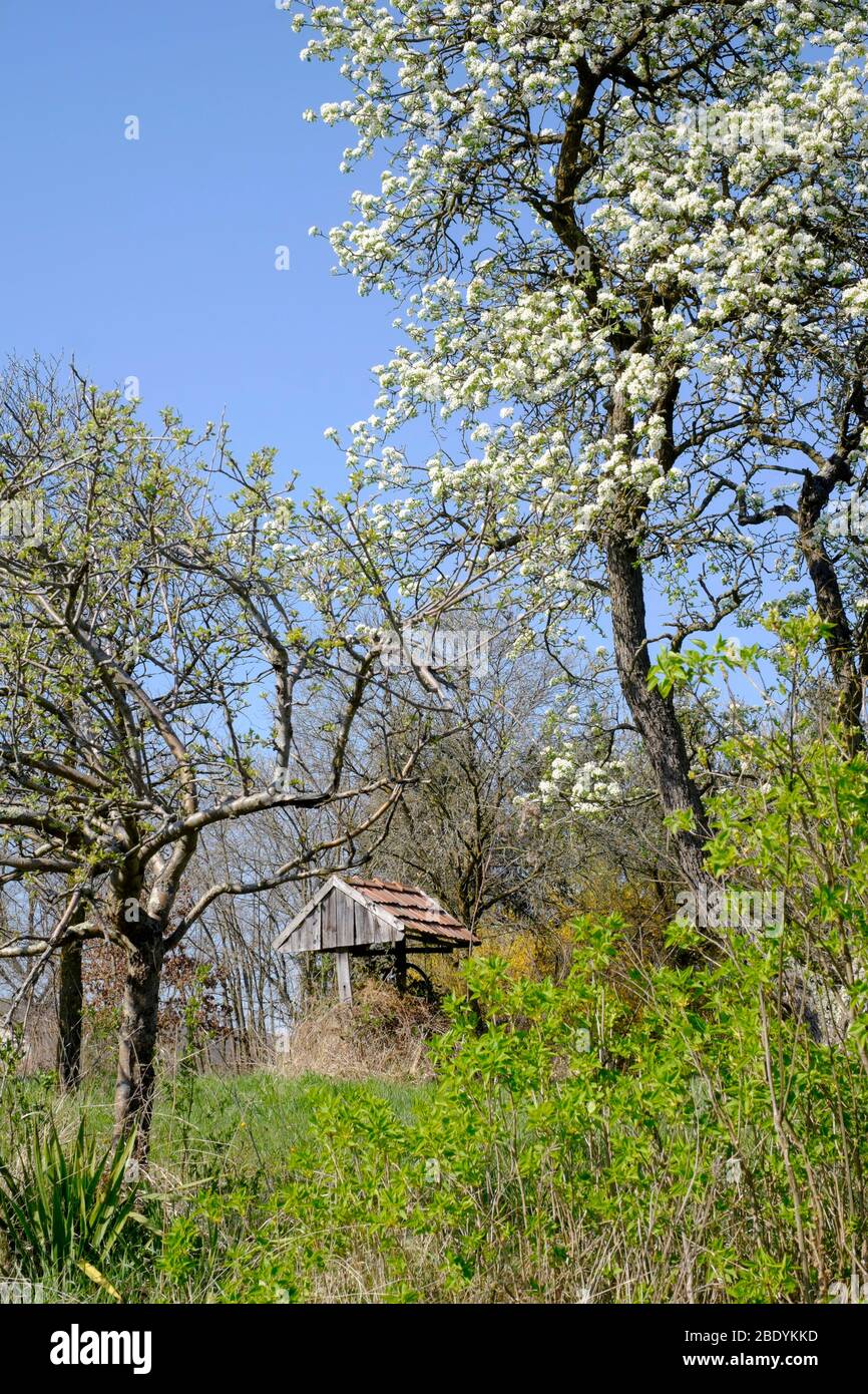 Disused derelict land hi-res stock photography and images - Alamy