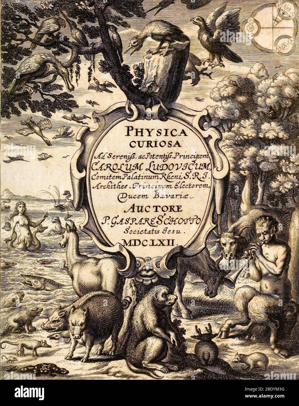 Gaspar Schott, "Physica Curiosa", 1662 Stock Photo - Alamy