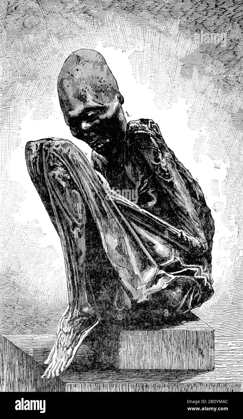 Inca mummy hi-res stock photography and images - Alamy