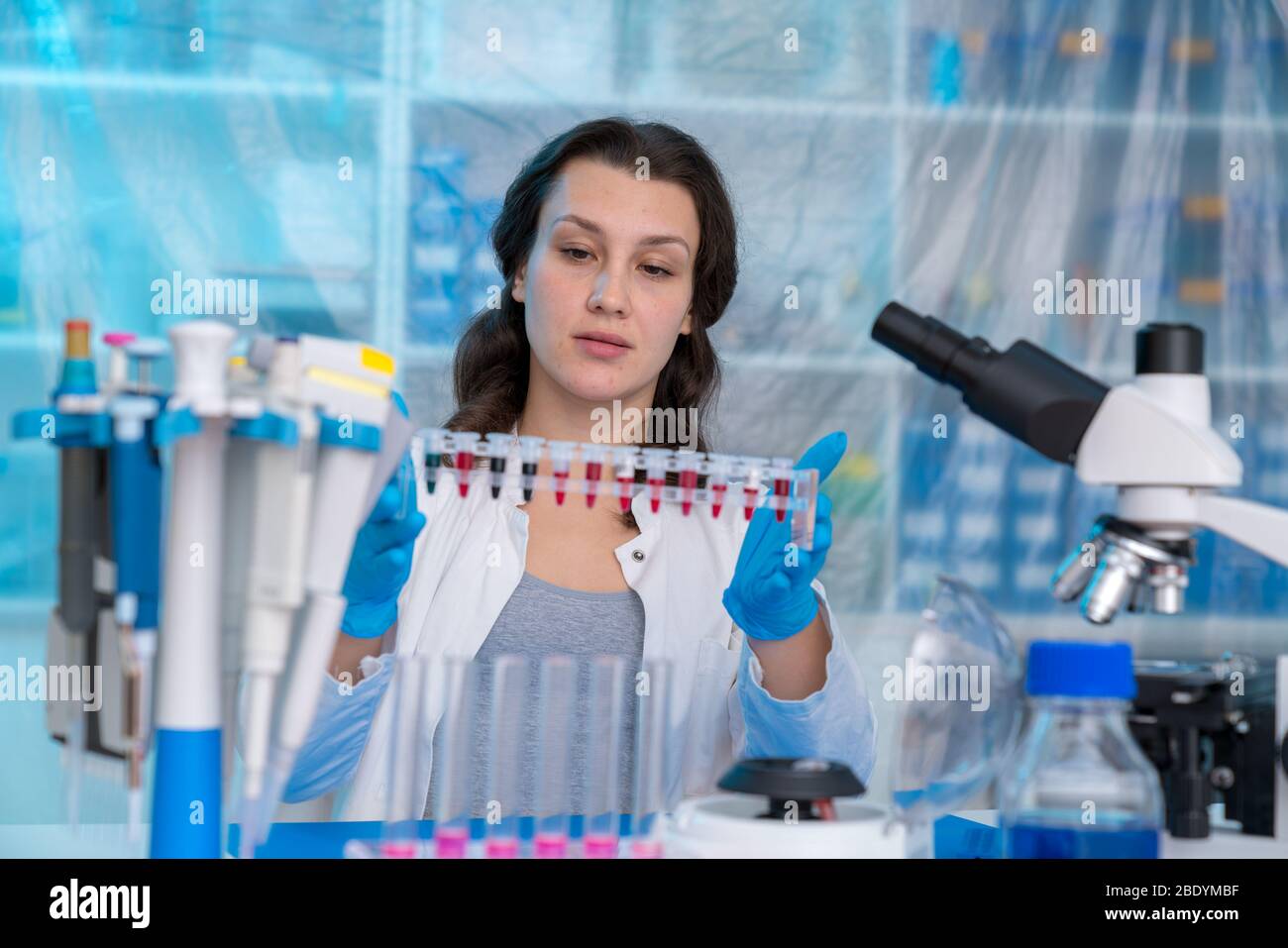 Young woman in clinical lab does PCR test on viral disease Stock Photo ...