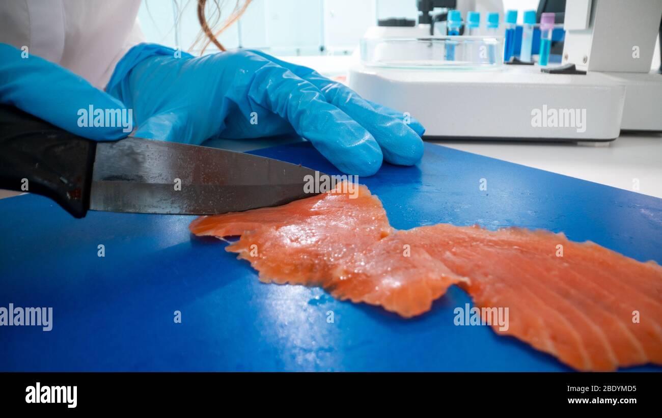 Inspection of meat and fish quality in the food quality laboratory ...
