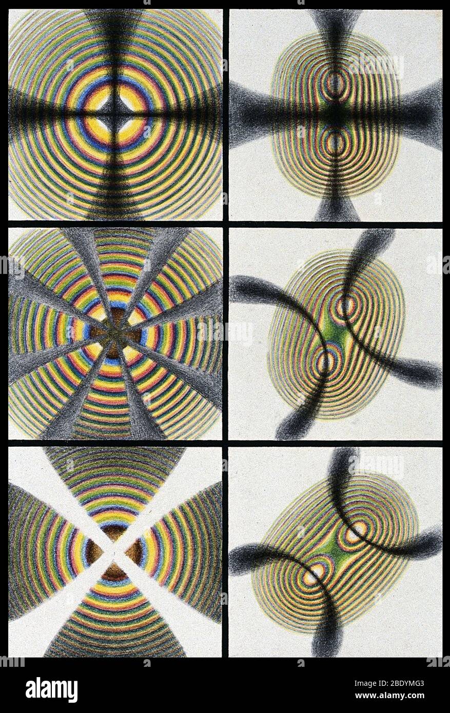 Interference Pattern In Nature