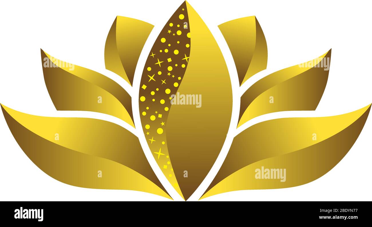 Golden star lotus hi-res stock photography and images - Alamy